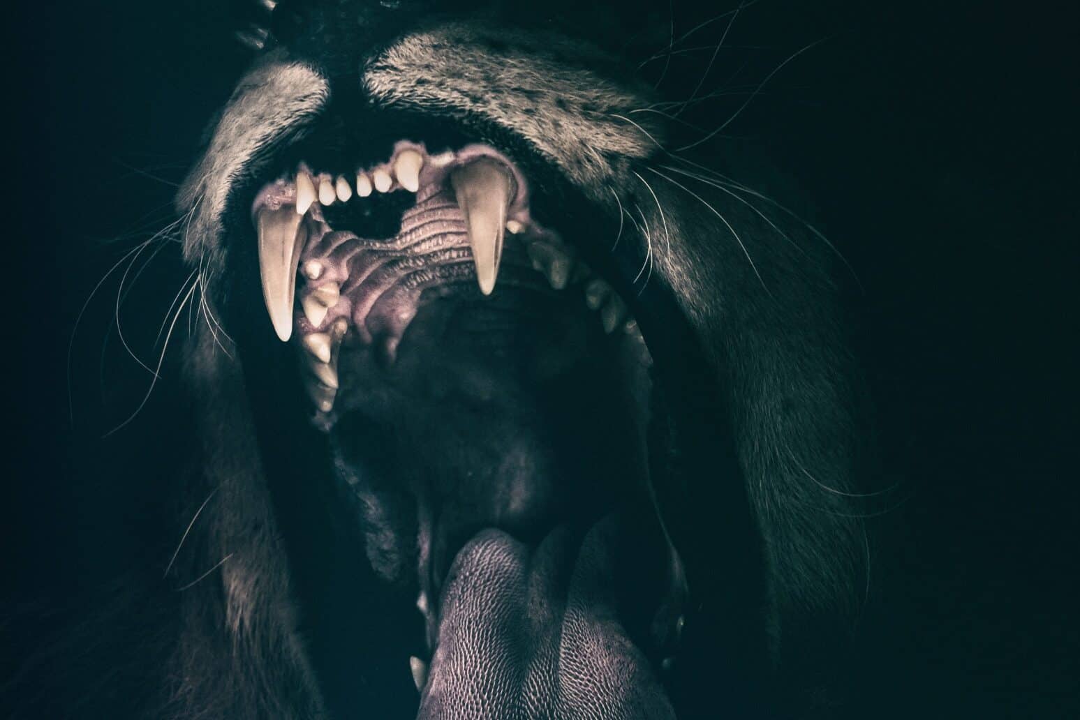 7 Fear Metaphors, Idioms & Sayings (To Scare you to Death!)