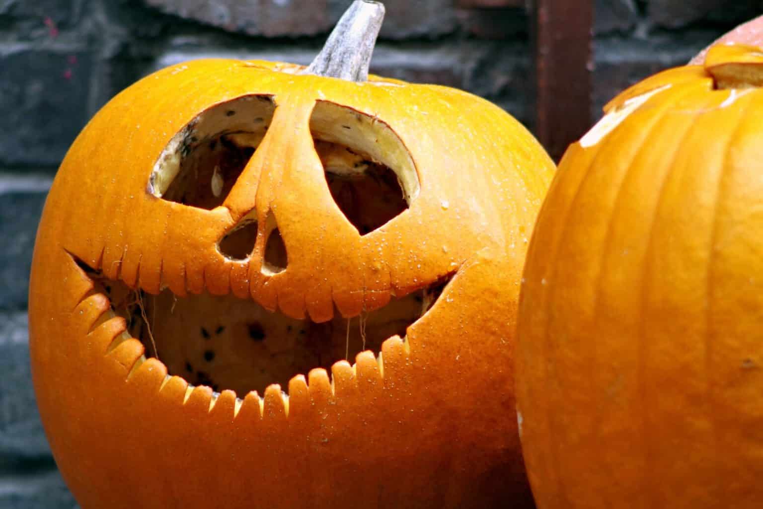 7 Fear Metaphors, Idioms & Sayings (To Scare you to Death!)