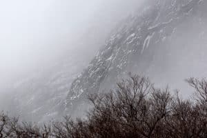 Fog Symbolism (6 Meanings in Literature and Dreams)