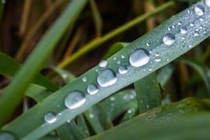 15 Best Winter Metaphors, Similes and Idioms