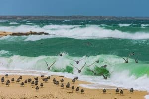 17 Beach Metaphors and Similes that Pop! (2022)