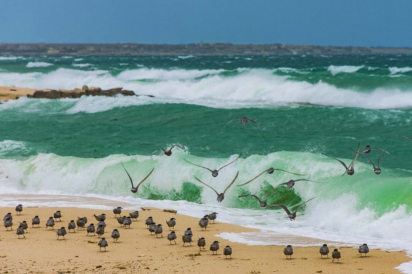 17 Beach Metaphors and Similes that Pop! (2023)