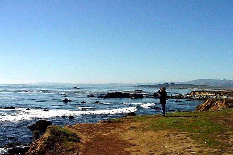 21 Best Ocean Metaphors & Similes (2022)