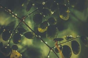 11 Best Rain Metaphors & Similes (2022) - Symbolism & Metaphor