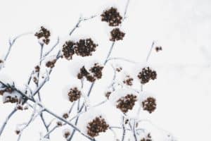 14 Top Snow Metaphors, Similes and Idioms (2022)