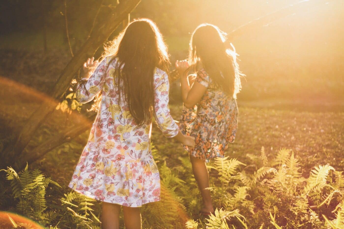 15 Friendship Metaphors, Similes, Analogies and Idioms (2022)