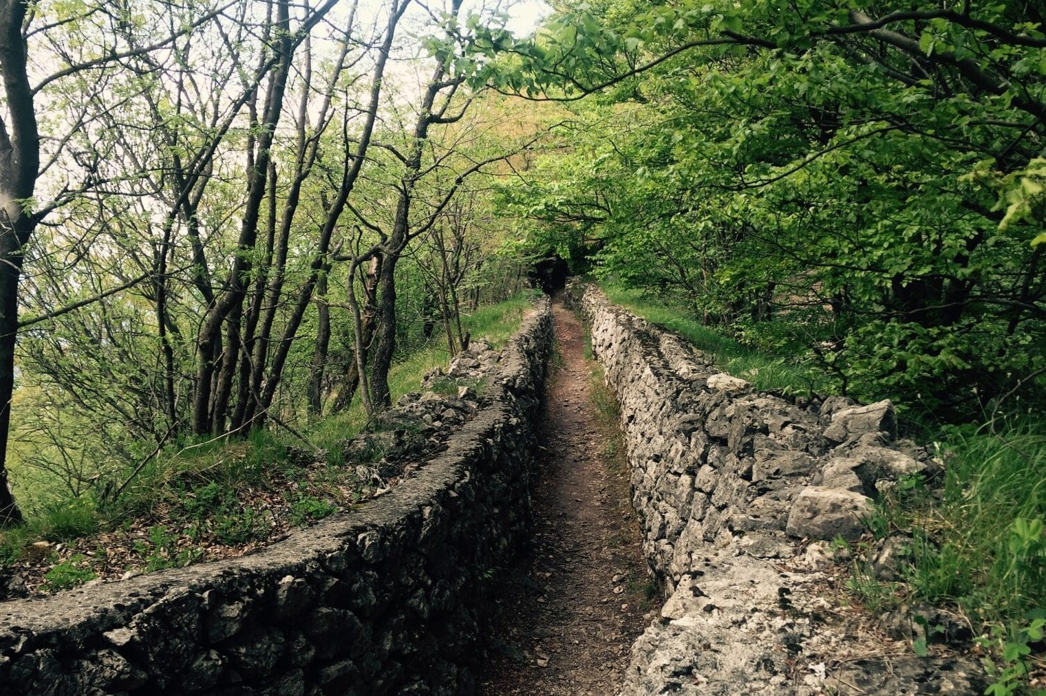 33 Best Military & War Metaphors, Idioms and Similes (2023)