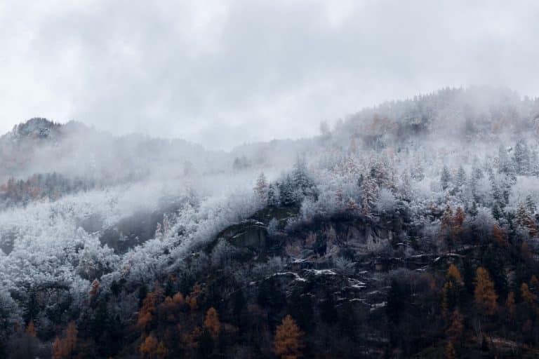 14 Metaphors about Wind (2022) - Symbolism & Metaphor