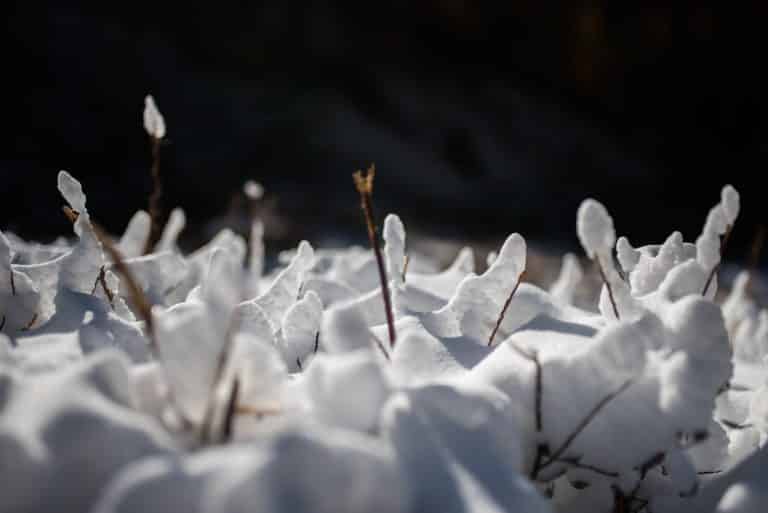 15 Best Winter Metaphors, Similes and Idioms