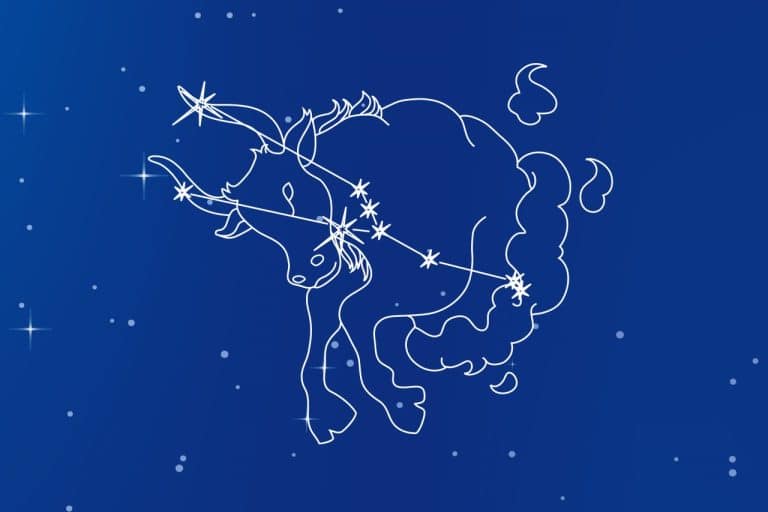 Taurus Rising Appearance & Traits (Man & Woman)