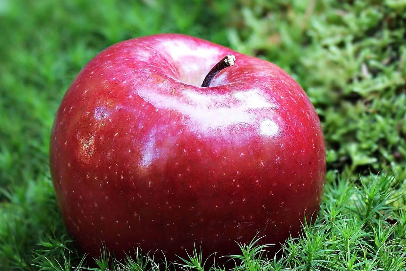 Red Apple Symbolism & Meaning