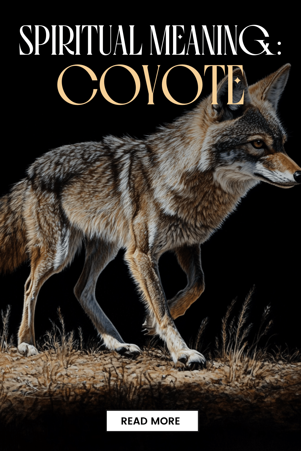 Seeing a Coyote at Night: 5 Spiritual Meanings