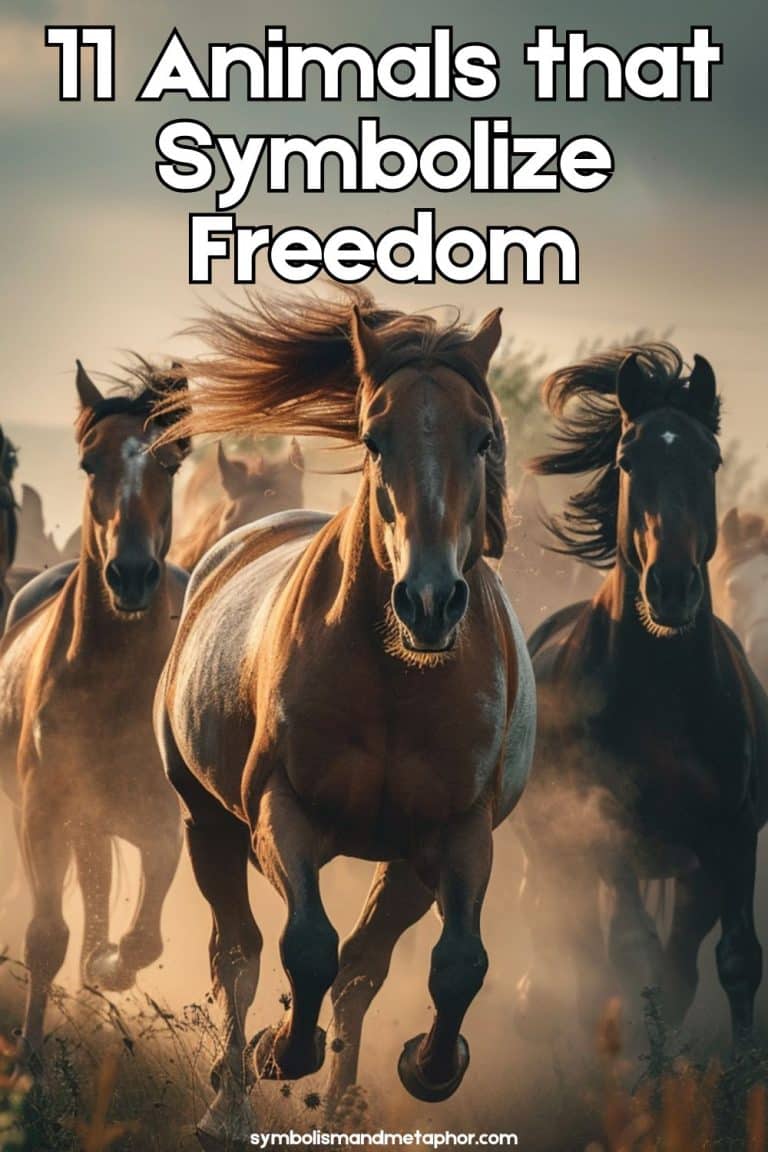 11 Animals that Symbolize Freedom (A to Z List)