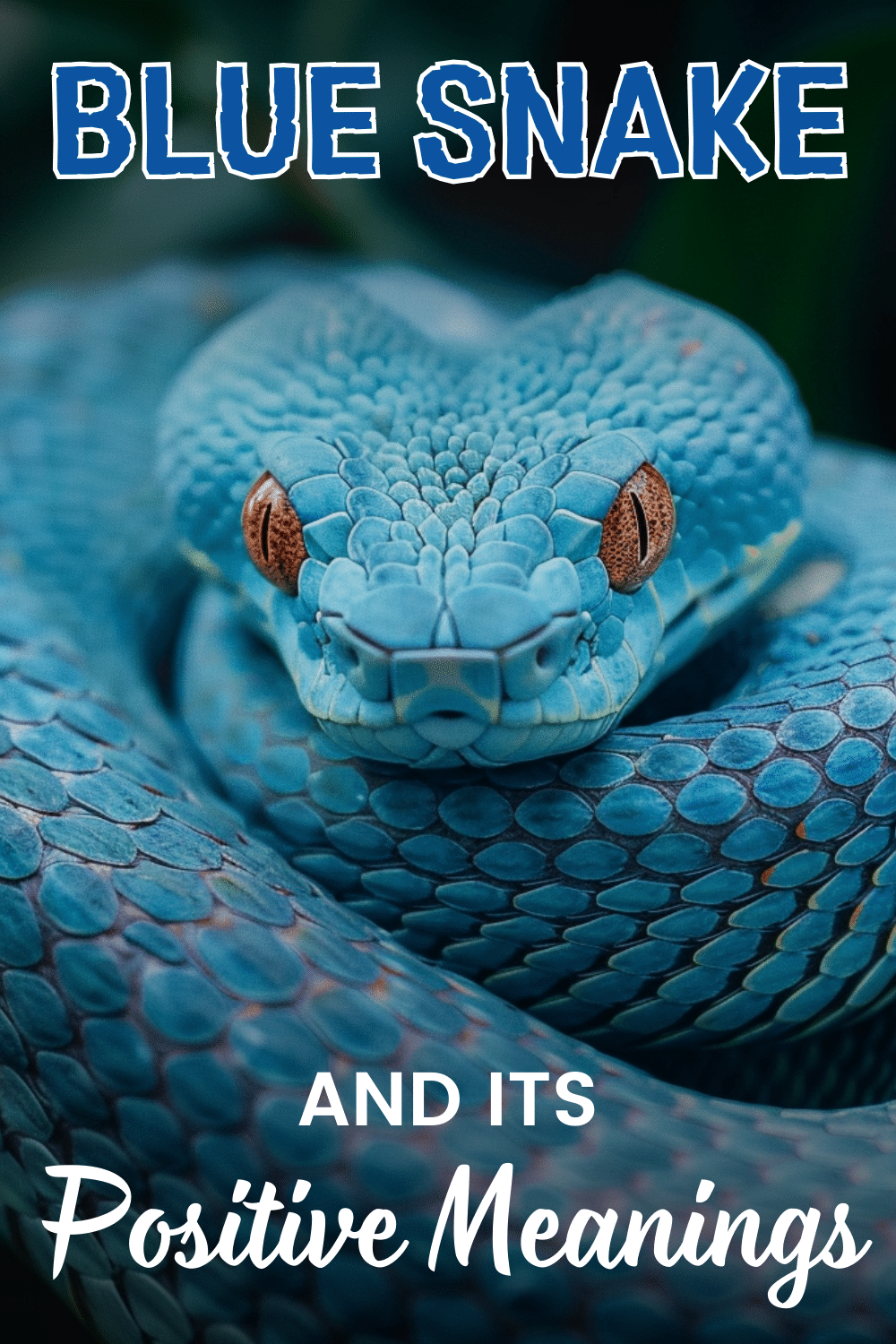 Blue Snake Spiritual Meaning and Symbolism (11 Omens)