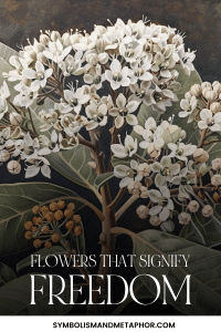 9 Flowers that Symbolize Freedom (List & Pictures)