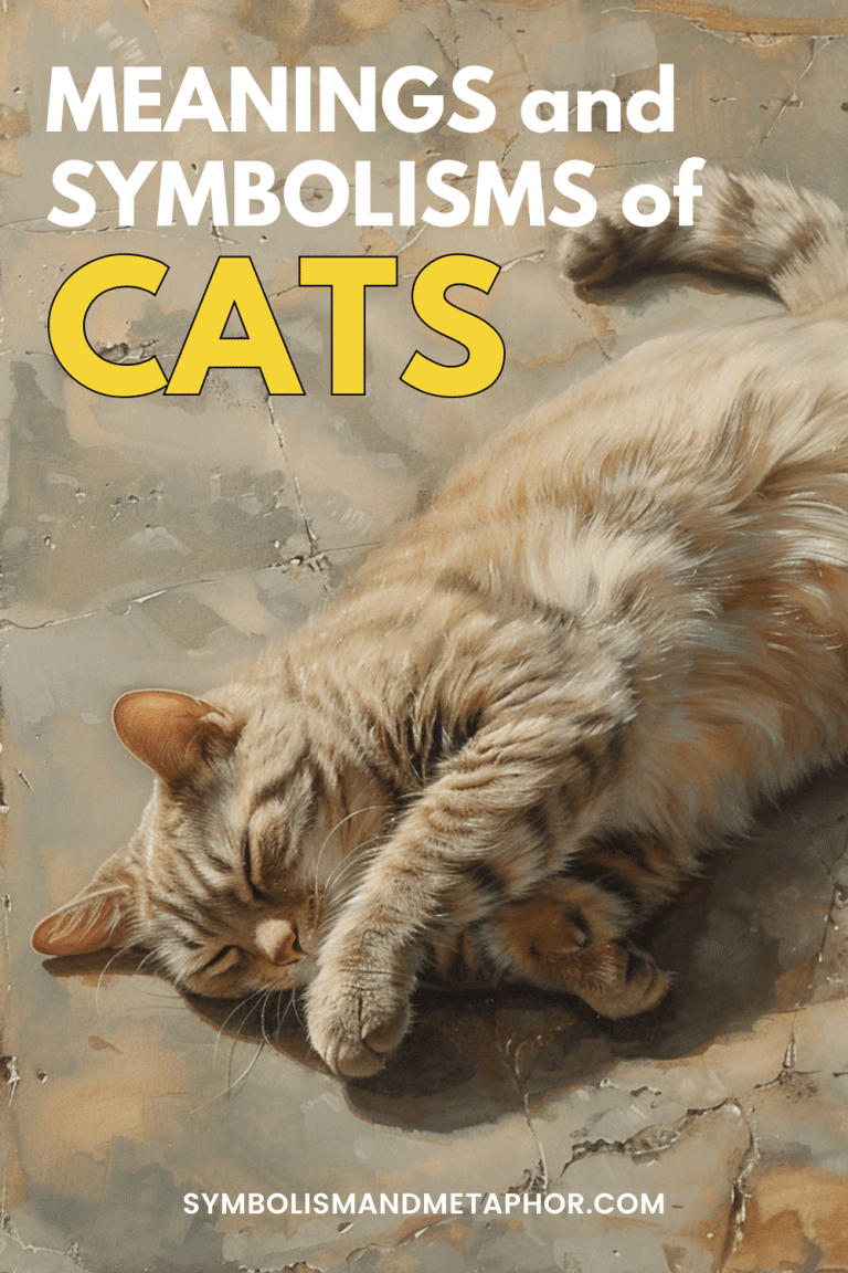 Cat Symbolism and Meanings (Femininity & Premonition)