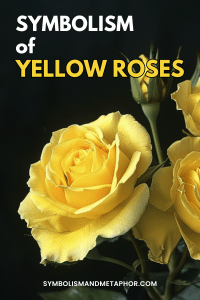 9 Flowers that Symbolize Freedom (List & Pictures)